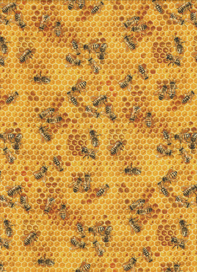 MOTI_161211 Bienen - Quilt Shop Ruth Baudisch
